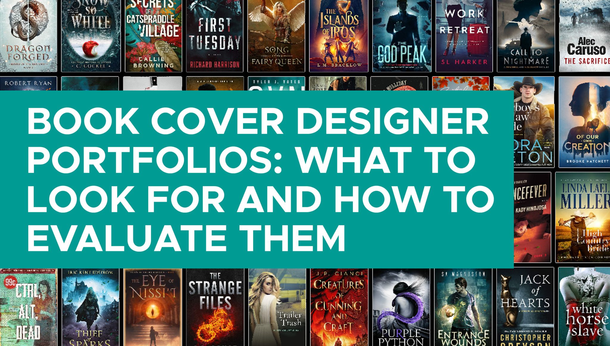 Book Cover Designer Portfolios: What to Look for and How to Evaluate ...